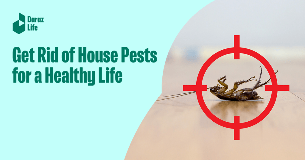 Pest Prevention Methods | Daraz Life