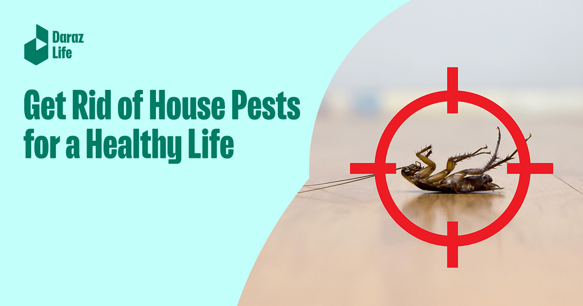 Pest Prevention Methods | Daraz Life